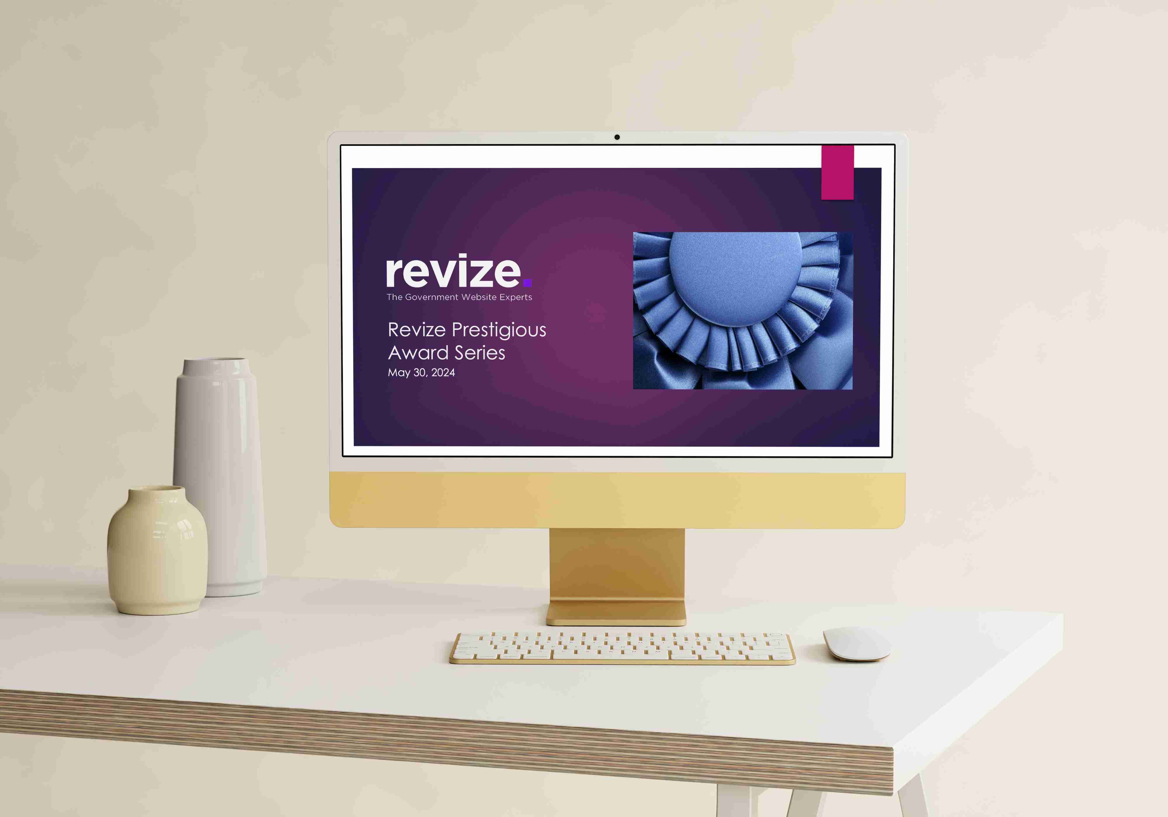 Revize The Government Website Experts