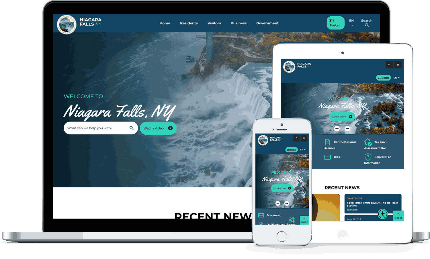 Revize The Government Website Experts